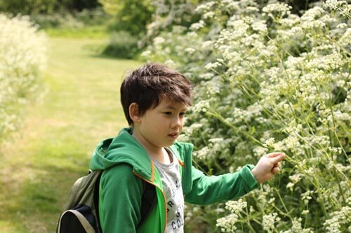 SEN Schools | Find Staff | Teaching Personnel